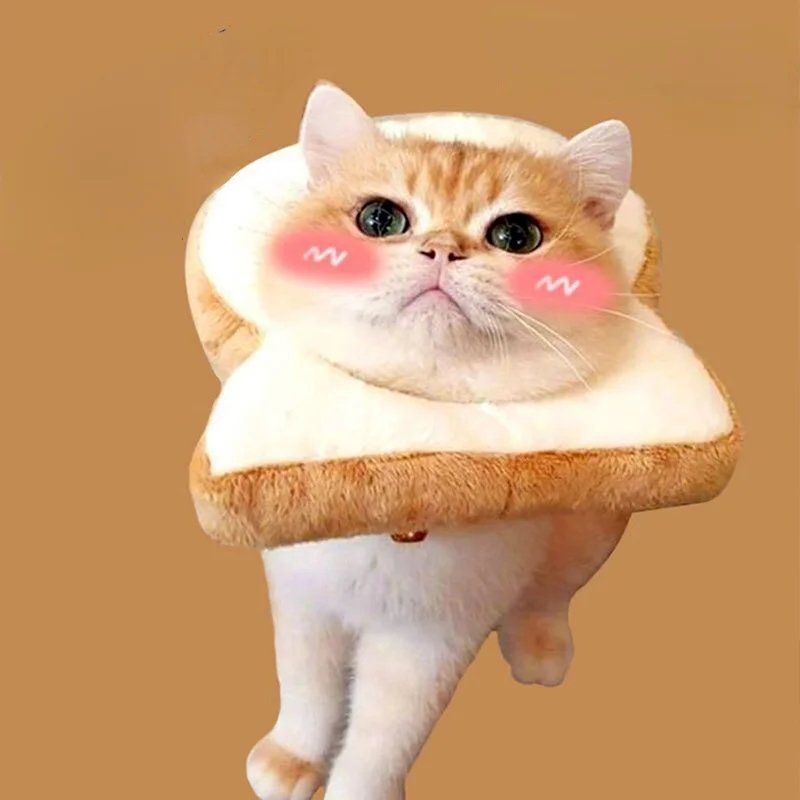 Cats Wearing Toast