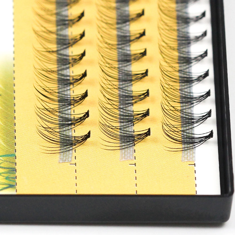 Grafting World Eyelashes 10d Individual Eyelash Russia Volume Eyelash ...