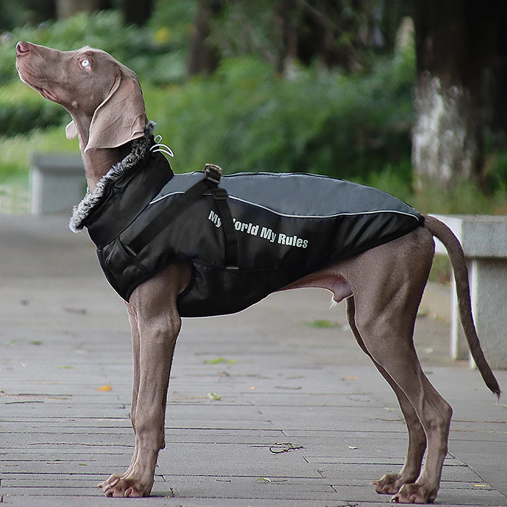 Dog Jacket with Harness | Waterproof Jacket for Large Dog | Big ...