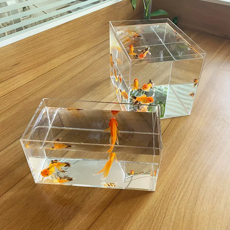 Acrylic-Fish-Tank-Betta-Fish-Display-Rack-Multi-grid-Desktop-Creative ...