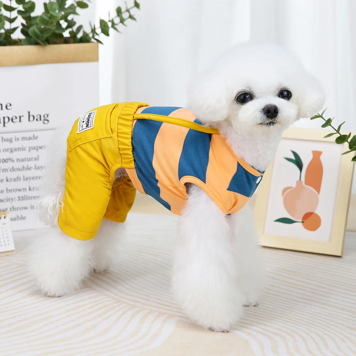 Cute Boy Dog Clothes