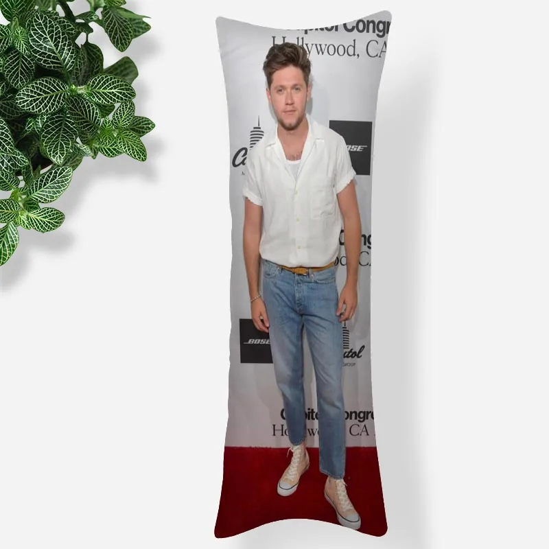 Niall Horan Full Body Picture