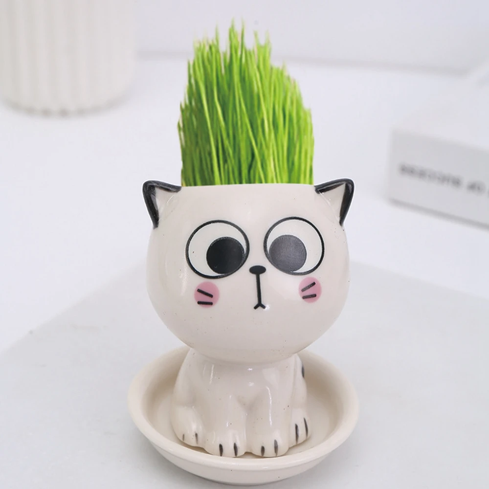 POT DE FLEUR,3--Mini pot de fleurs en céramique en forme de chat ...