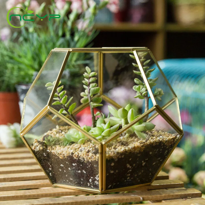 NCYP-Modern-Glass-Terrarium-Flower-Pot-Gold-Geometric-Terrarium-Bonsai ...