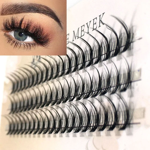 Volkswagen Beetle Bug Eyelashes Eye Shadow