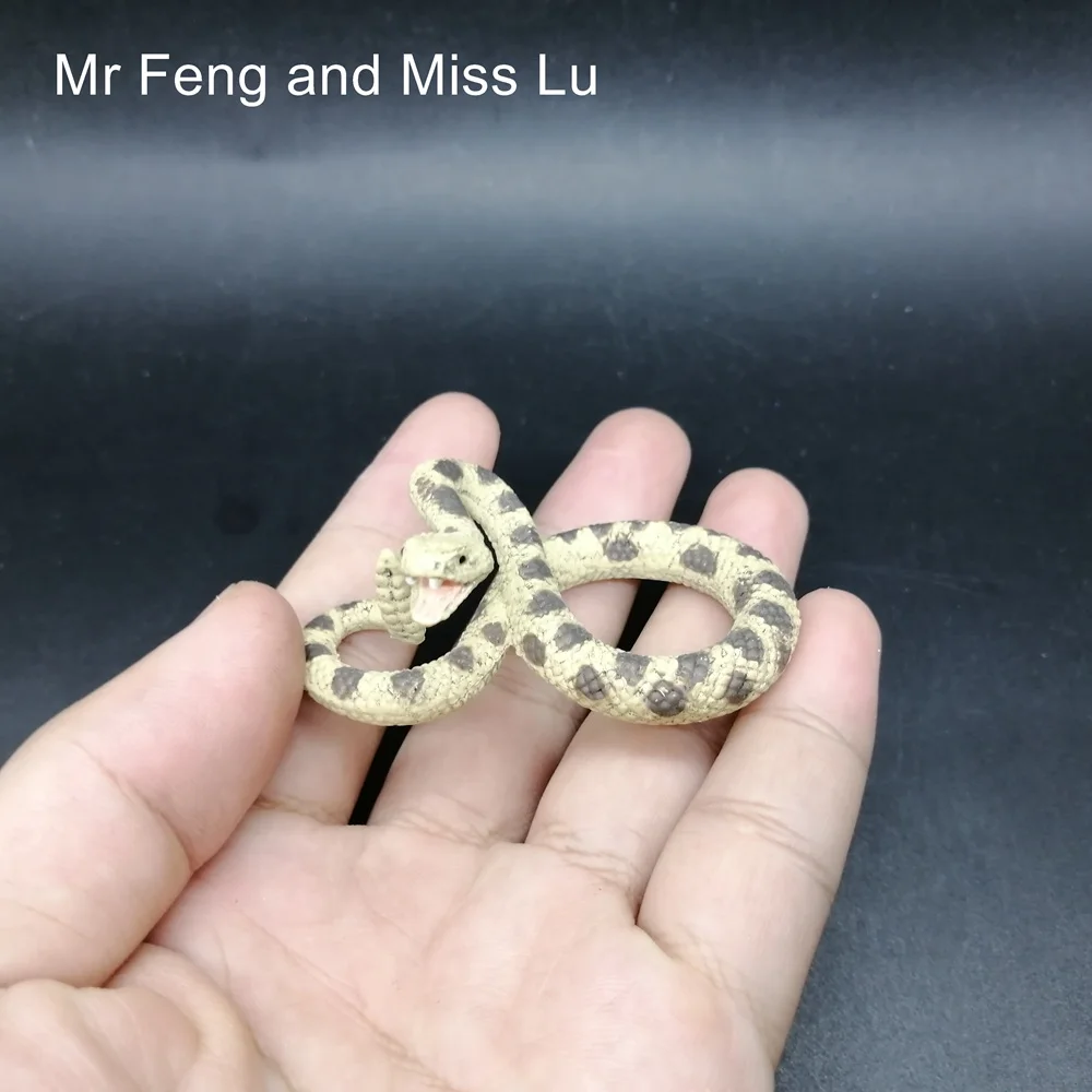Mini Rattle Snakes