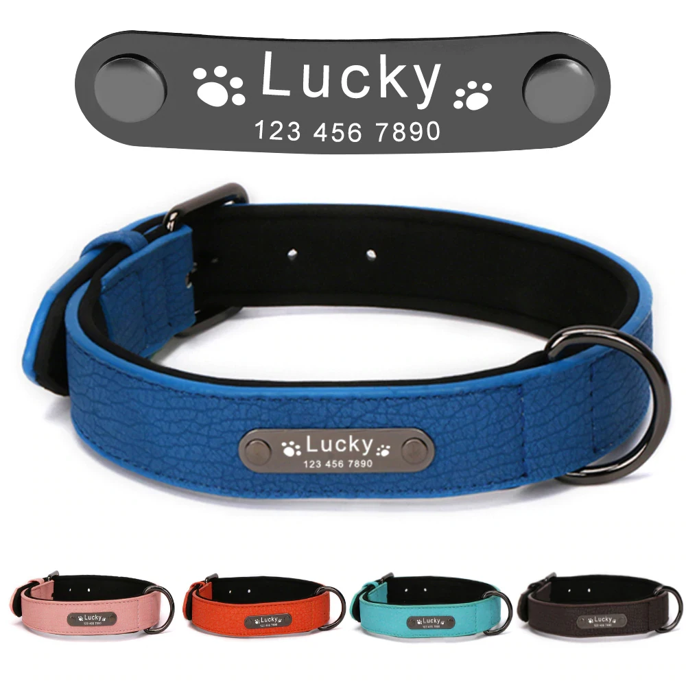 Collier de luxe personnalisé pour chien, accessoire de styliste pour ...