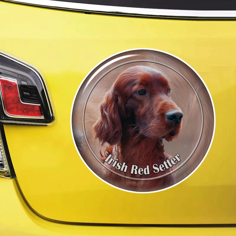 S62200# Irish Red Setter Self-adhesive Decal Car Sticker Waterproof ...