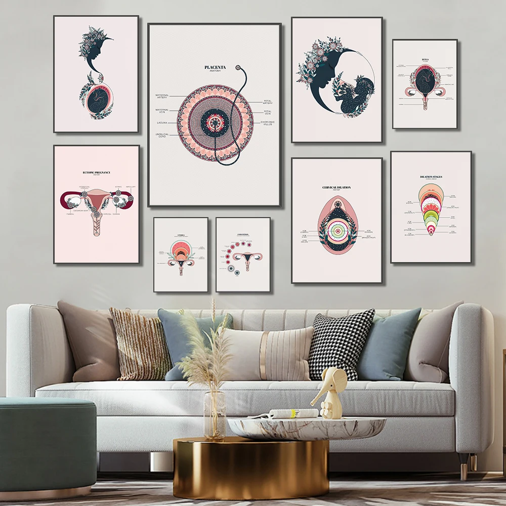 Pregnancy-Anatomy-Medicine-Uterus-Wall-Hanging-Art-Canvas-Poster ...
