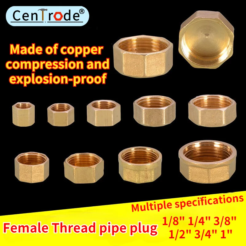 Pipe-Plug-1-8-1-4-3-8-1-2-3-4-1-Brass-Copper-Pipe.jpg