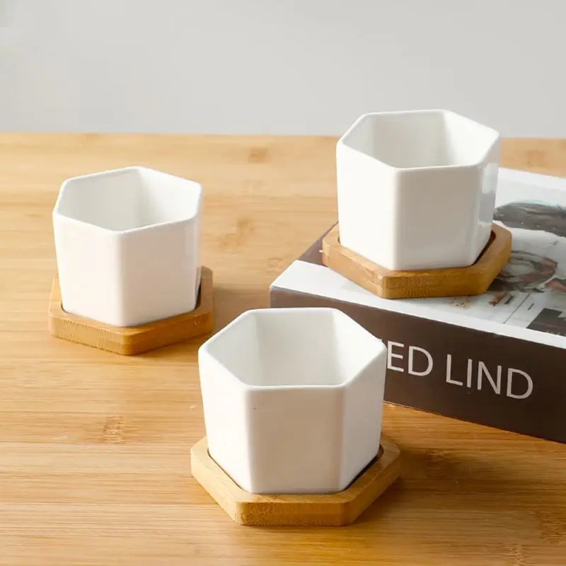 Ceramic-Flower-Pot-Succulent-Planter-White-Hexagon-Flower-Pots-For ...
