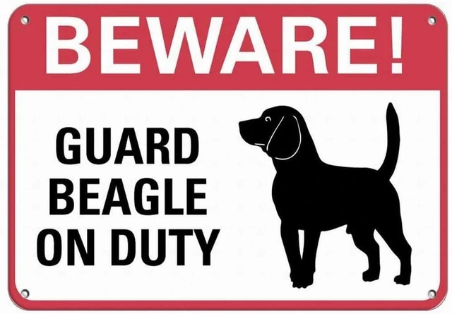 Can A Beagle Guard A Home