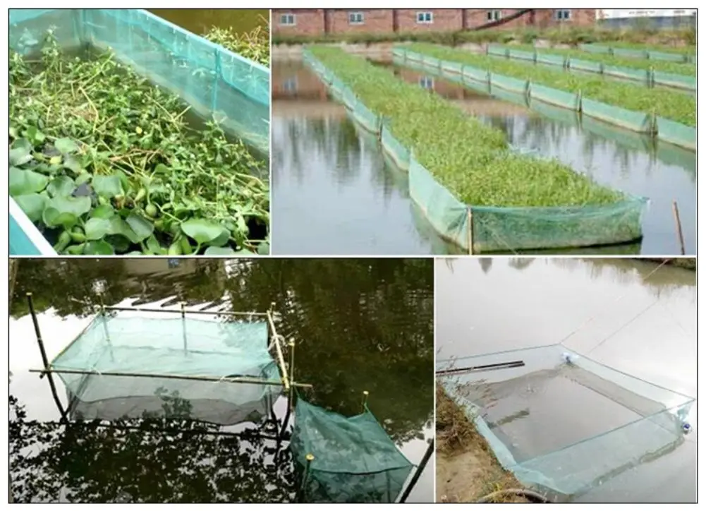 Épaissir le filet de poisson clôture d'élevage Cage Aquaculture grandir ...