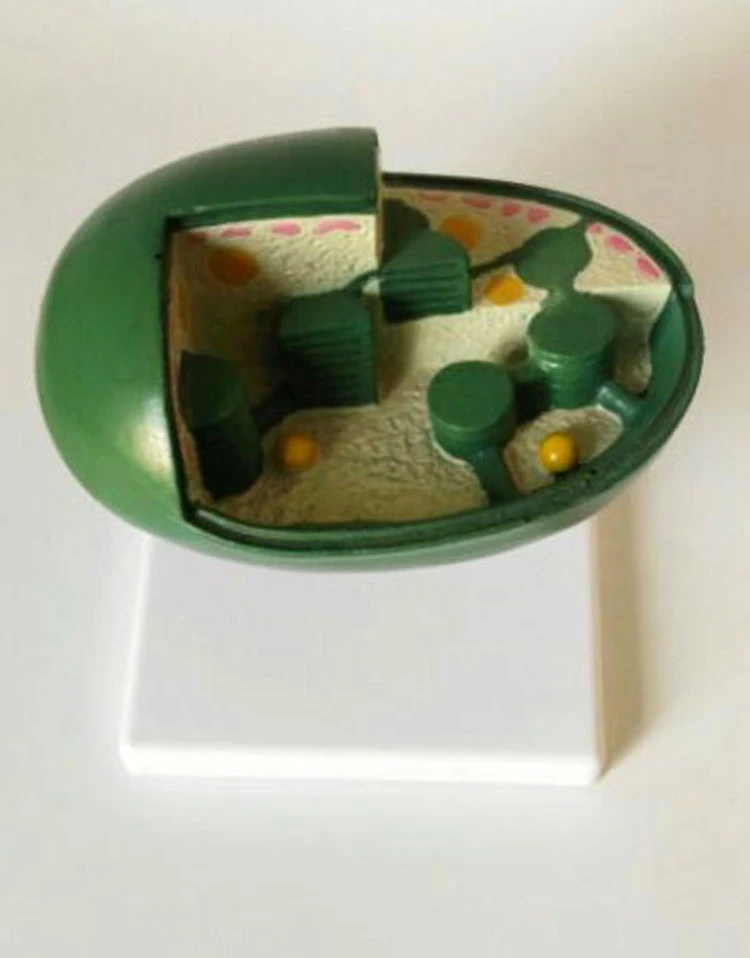 Chloroplast-Model-Chloroplast-Anatomy-Chloroplast-Anatomical-Structure ...