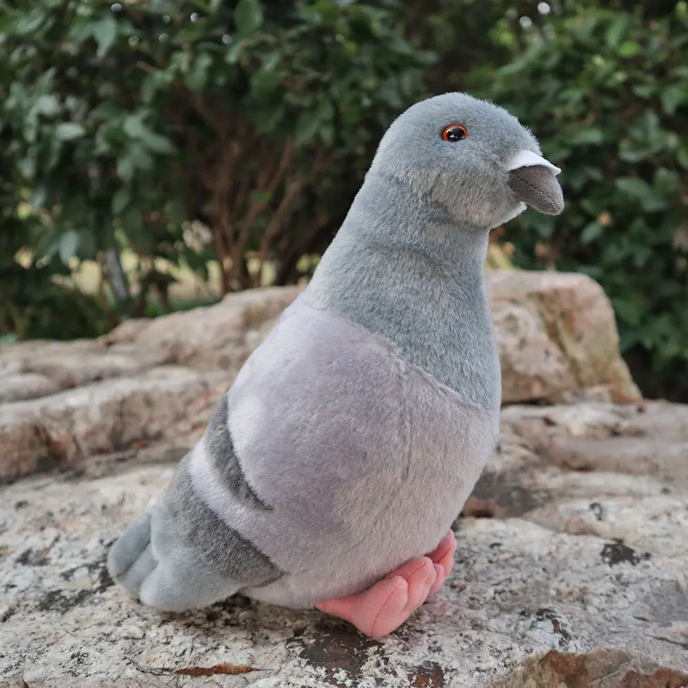 19cm Lifelike Grey Pigeon Plush Toy Realistic Rock Dove Pigeons Bird ...