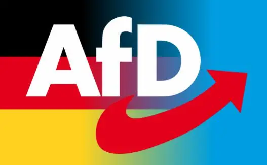 Alternative-afd-flagge-FLAGGE-90x150cm-100D-polyester-Mit-Halb ...