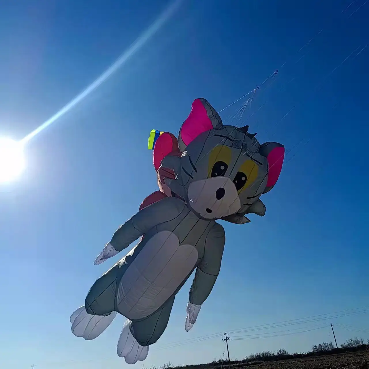 Tom And Jerry Airblown