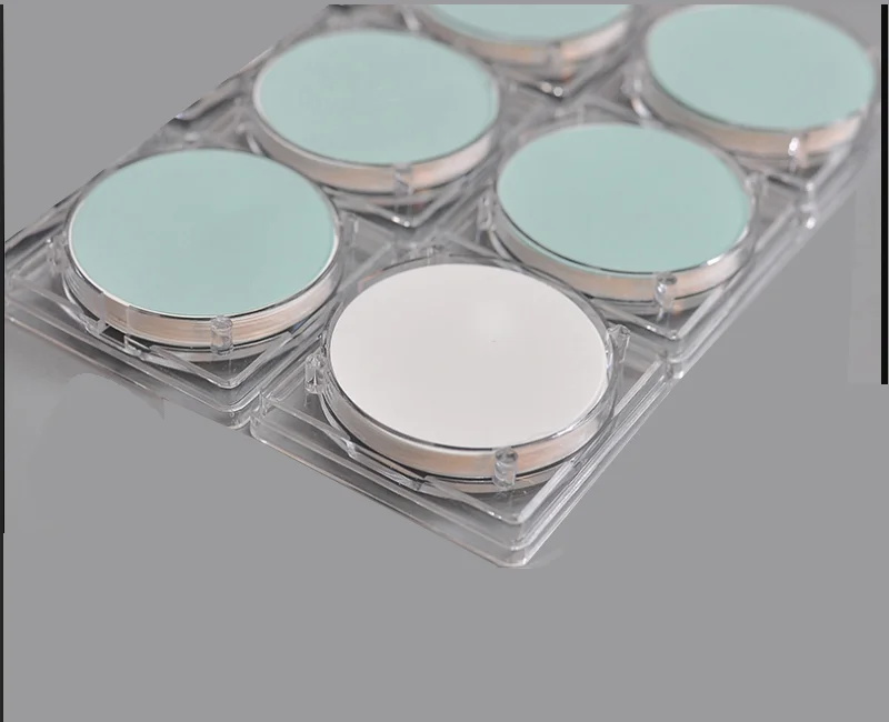 Filter Patches Hydrophilic PTFE Membrane Filter Synthetic Filter Disc