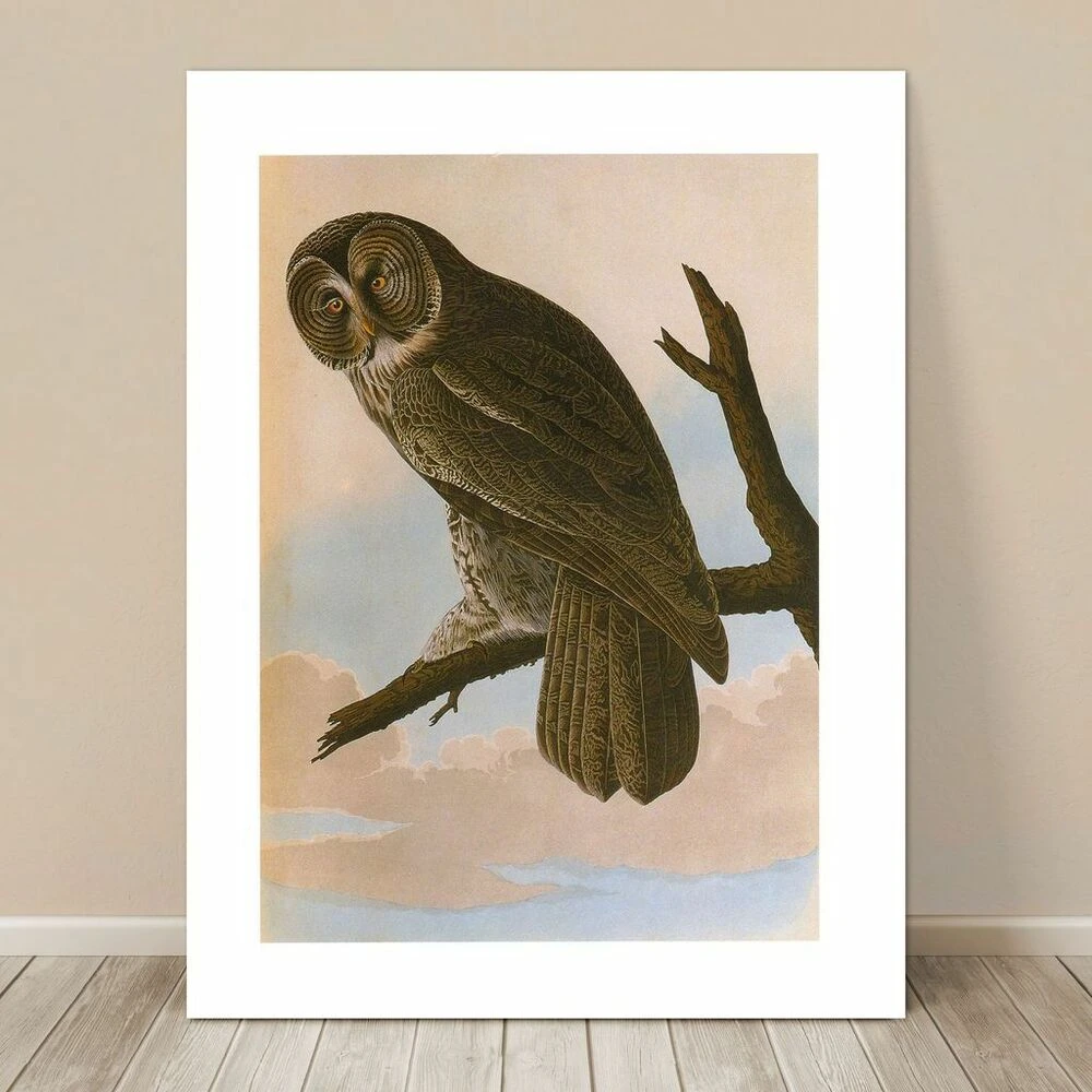 Bird Paintings By Famous Artists