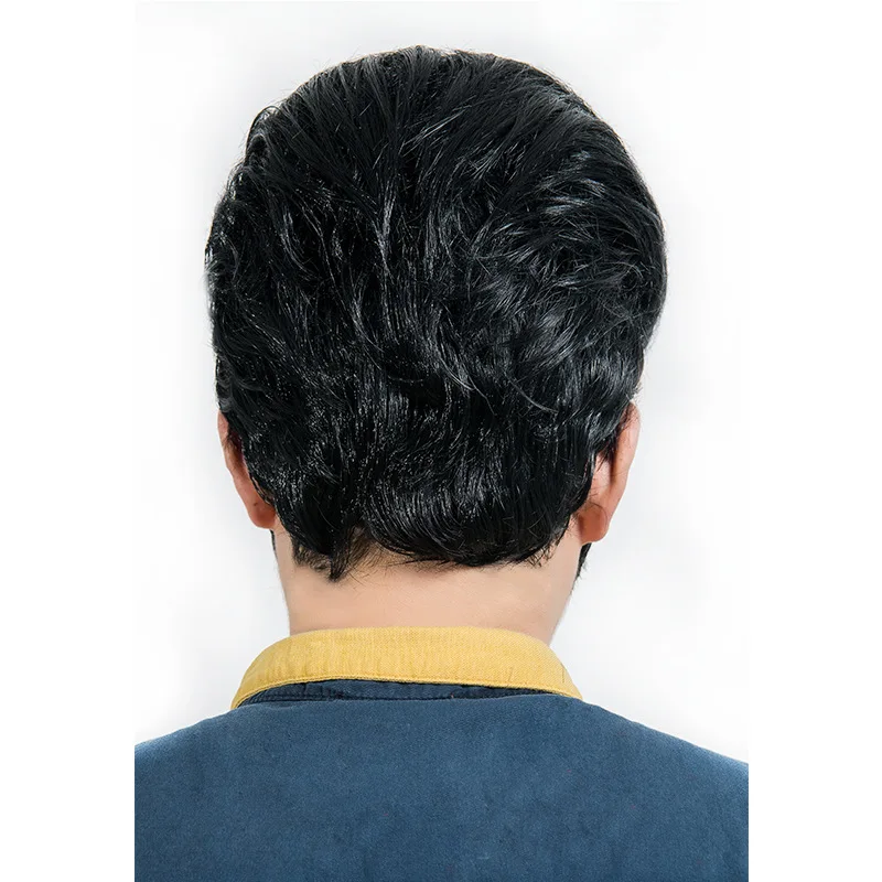 Elvis Hairstyle Wig