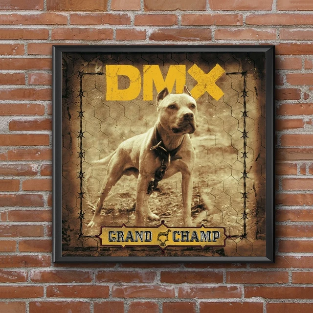 Dmx Grand Champ