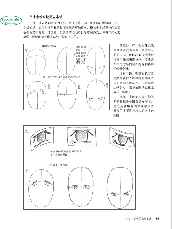 Anime Character Design Base