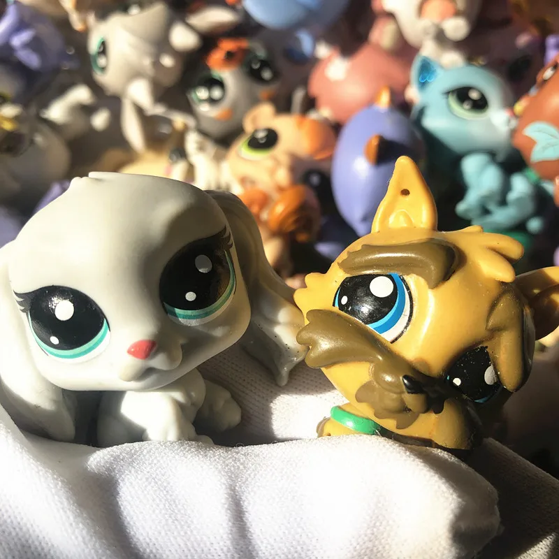 LPS-DOGS-Little-Shop-Toys-figurita-naranja-tienda-de-mascotas-gato ...