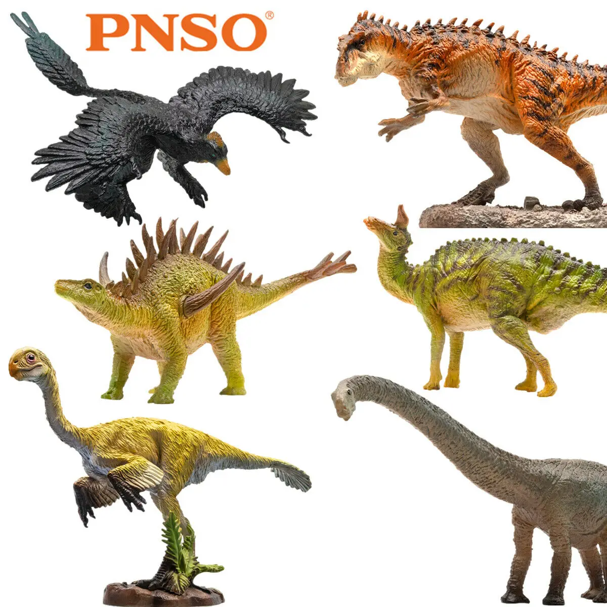 Pnso Yangchuanosaurus Mamenchisaurus Gigantoraptor Tsintaosauras ...