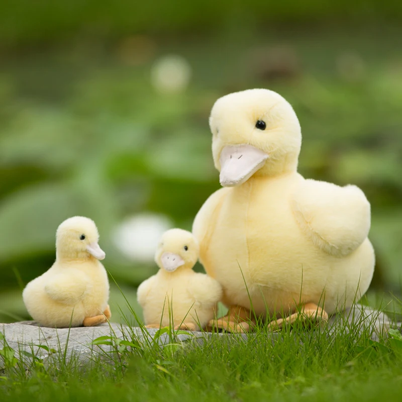 Real Yellow Ducks
