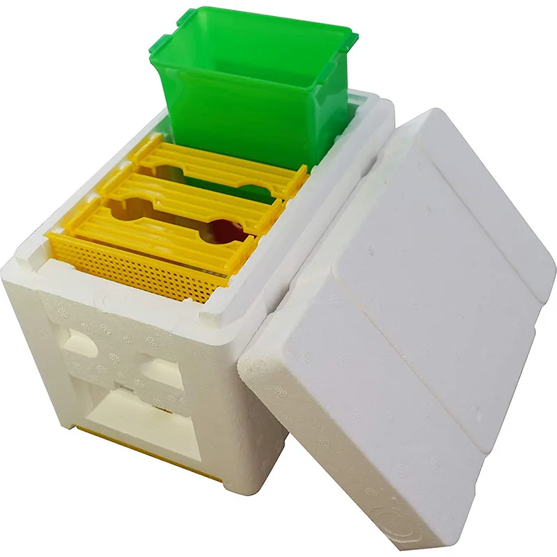 X18-New-Model-Mini-Nucs-Wholesale-Complete-Mini-Mating-Beehive-with ...