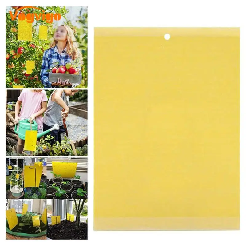 20pcs 2 Side Paste Insect Board Double sided Bug Fly Stickers Glue ...