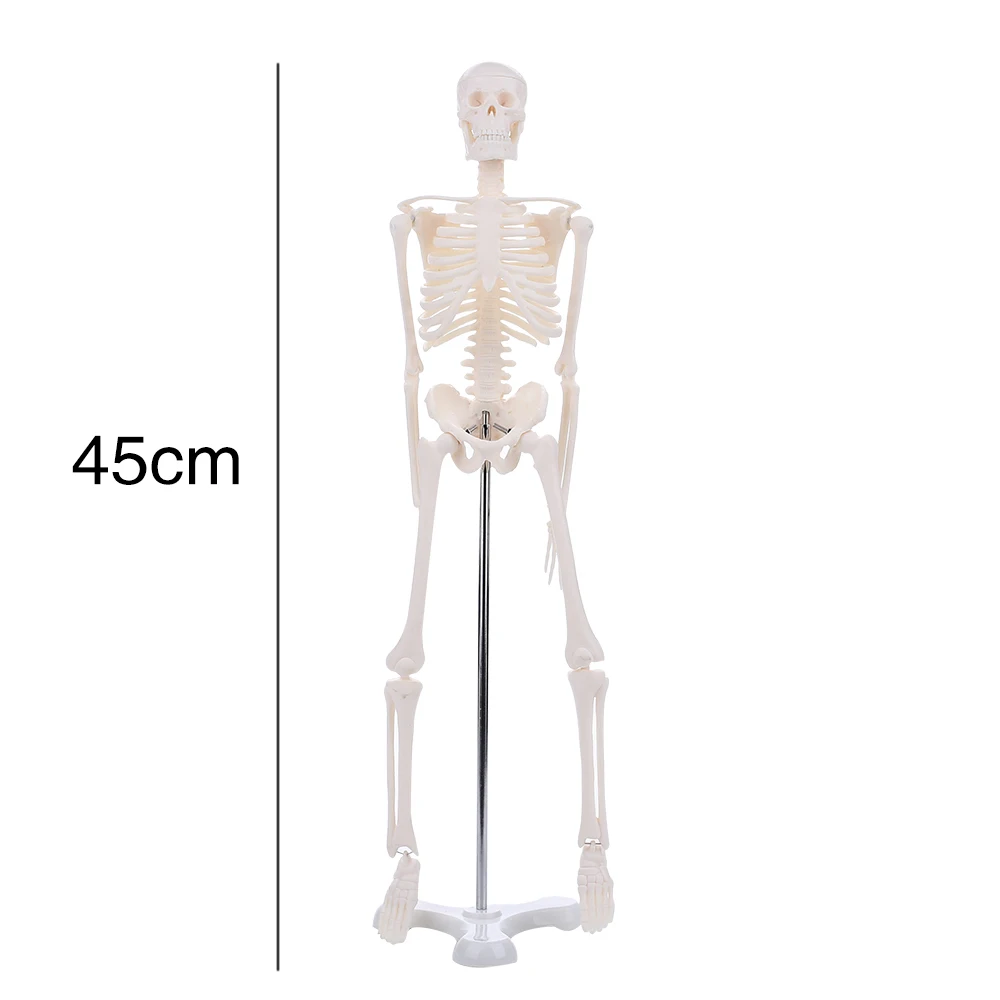 Statue deco,Squelette de crâne mobile lumineux d'horreur, accessoires d ...