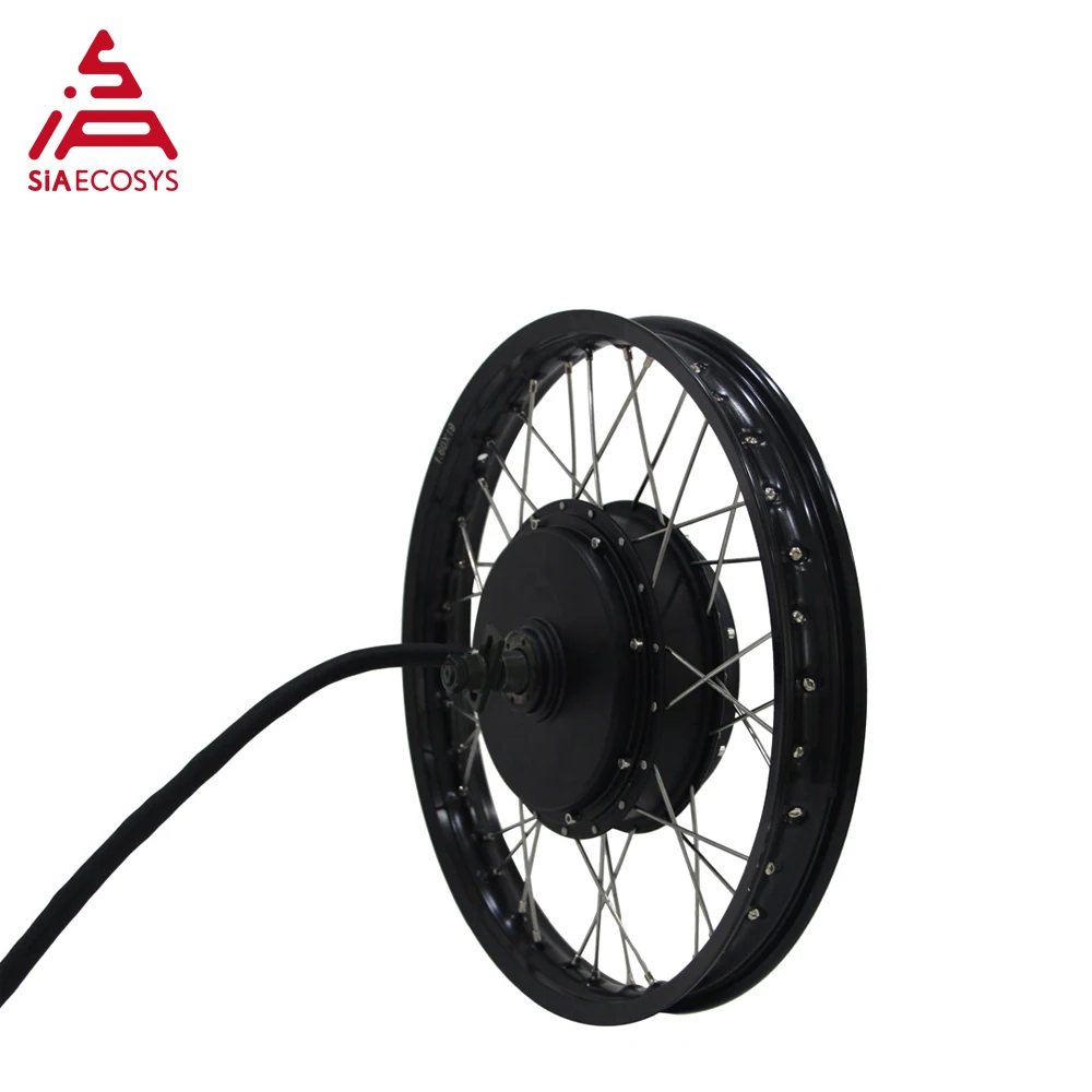 QS-Motor-QS205-50H-V3TI-Spoke-Hub-Motor-with-17x1-6inch-Rear-Wheel-High ...