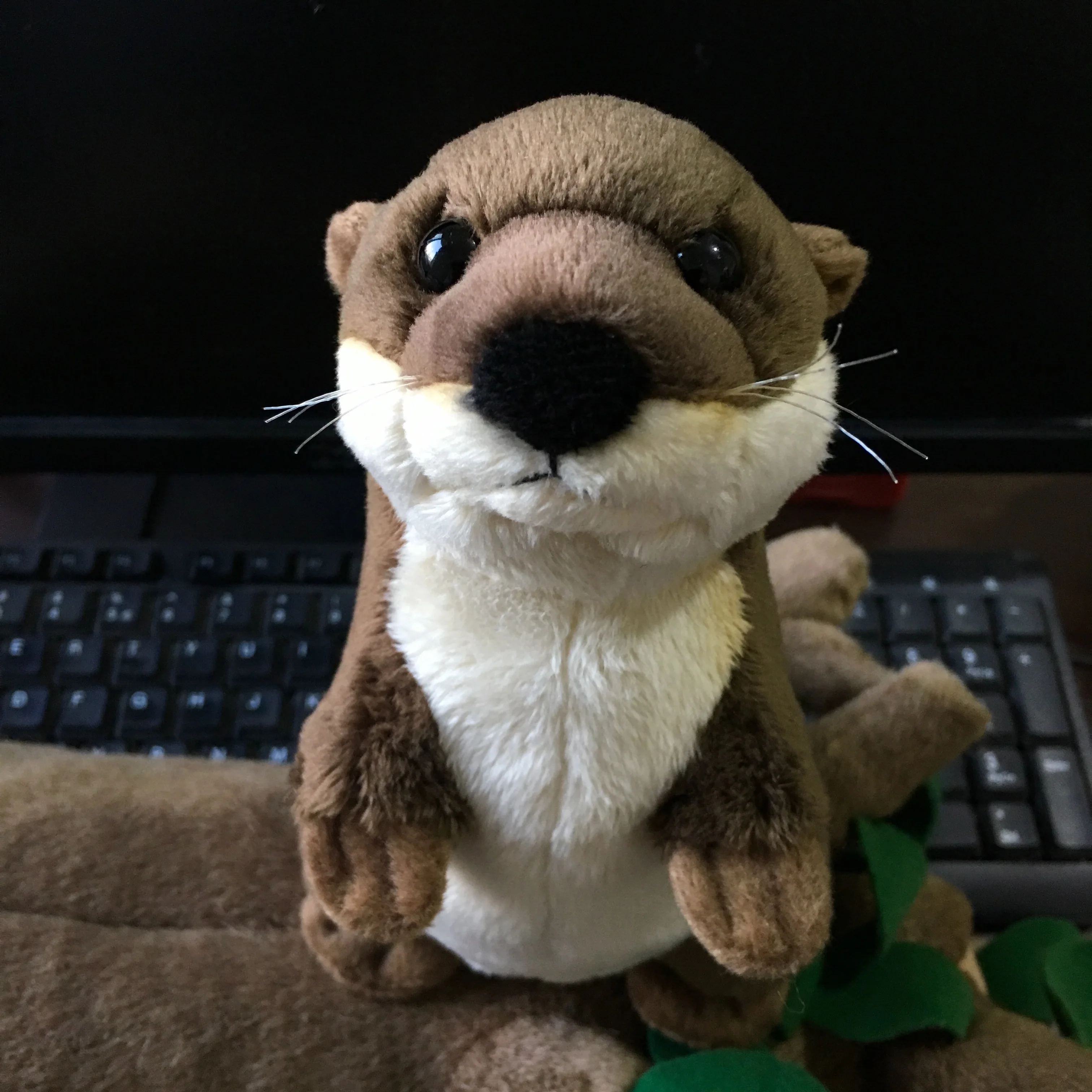 20cm Real Life Eurasian River Otter Plush Toy Realistic Wild Animals ...