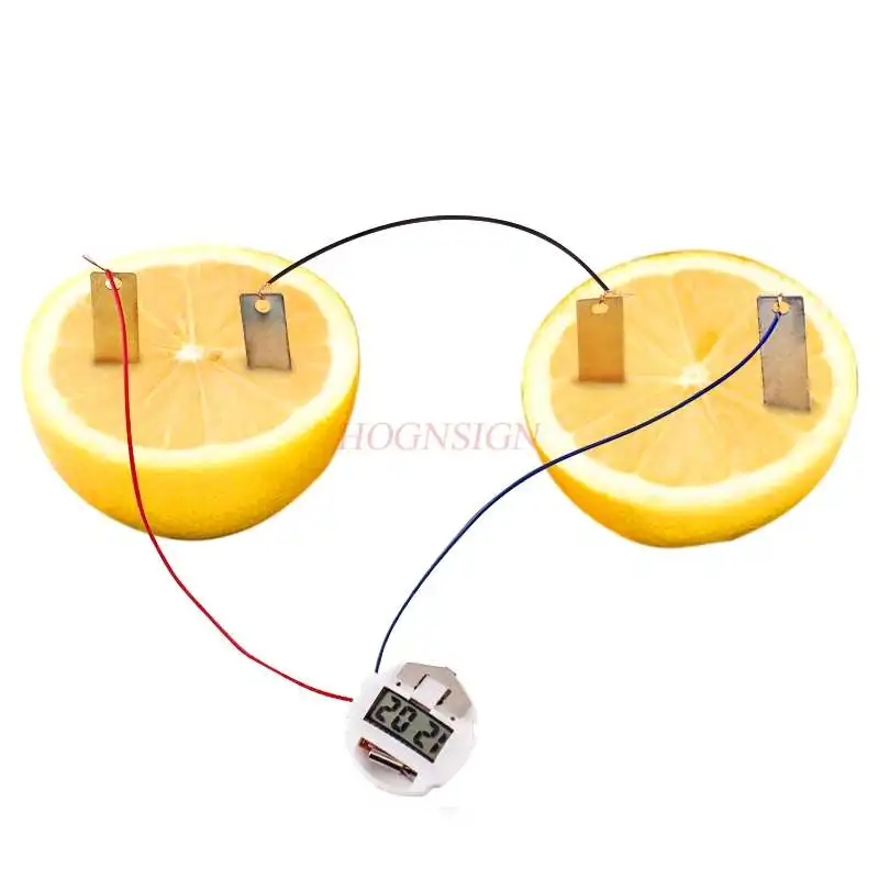 Science And Technology Small Diy Learning Kit Fruit Battery, 52% OFF
