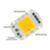10pcs 110V 220V LED Chip 10W 20W 30W 50W COB Chip No Need Driver LED Lamp Beads for Flood Light ...