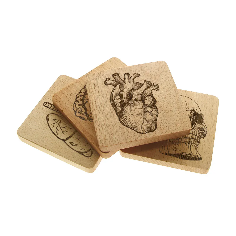 Coasters Home & Living Gift for Doctor Anatomy Coaster Anatomy is ...