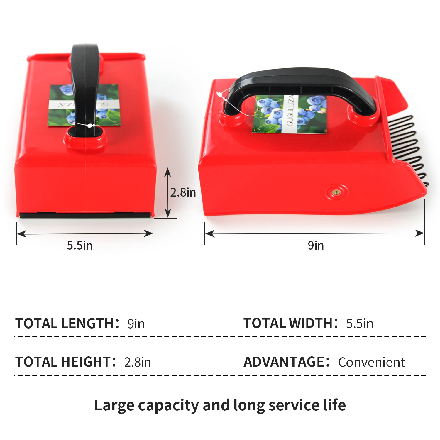 Homemade Blueberry Rake
