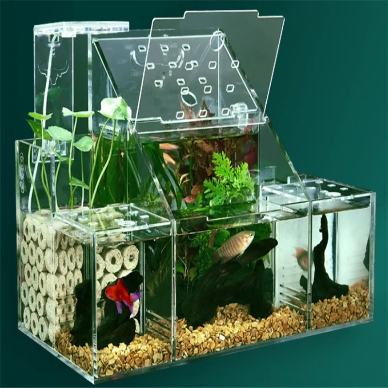 Fighter Fish Breeding Tank