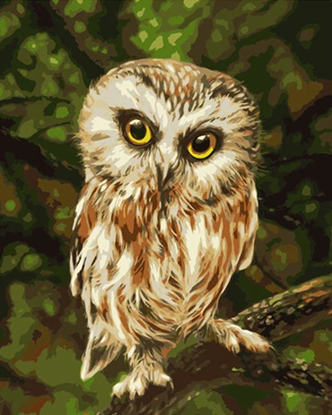 Animals painting by numbers kits – Hobby Paint