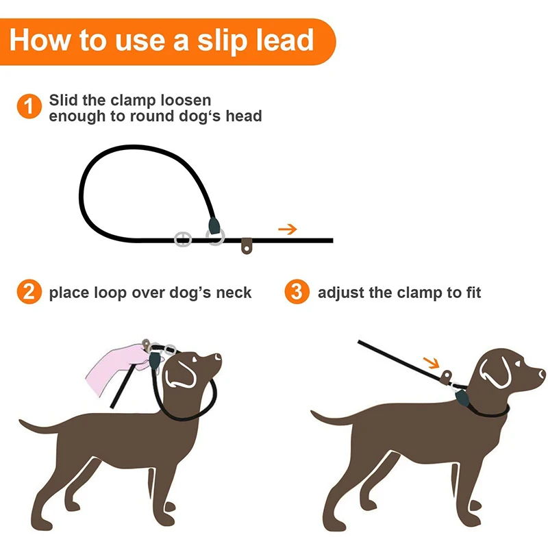Do Slip Leads Choke Dogs