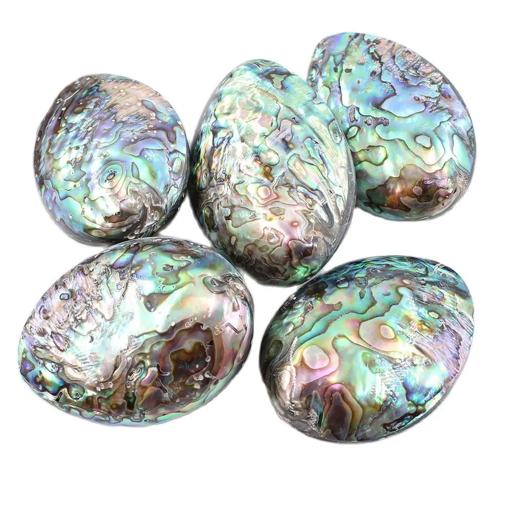 Apdgg 40x50 45x65mm 5 peças grande oval natural azul concha abalone ...