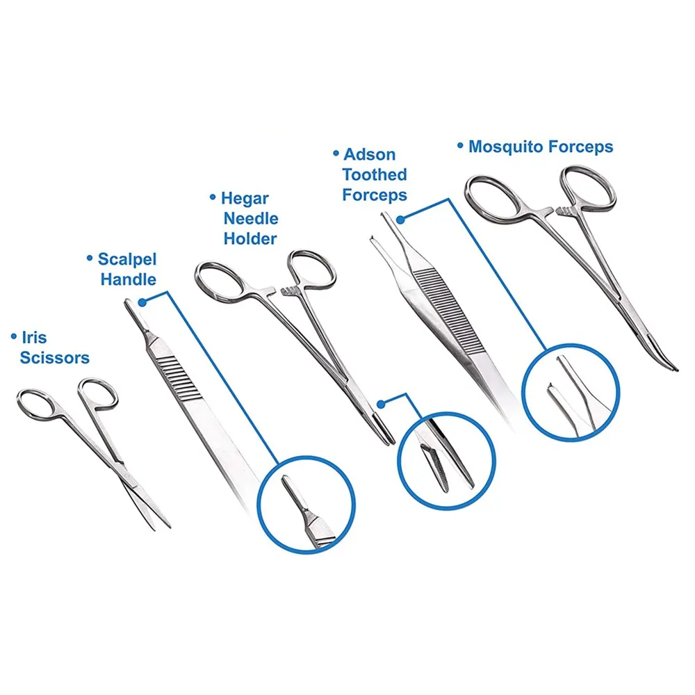 Dentistry Tools With Names