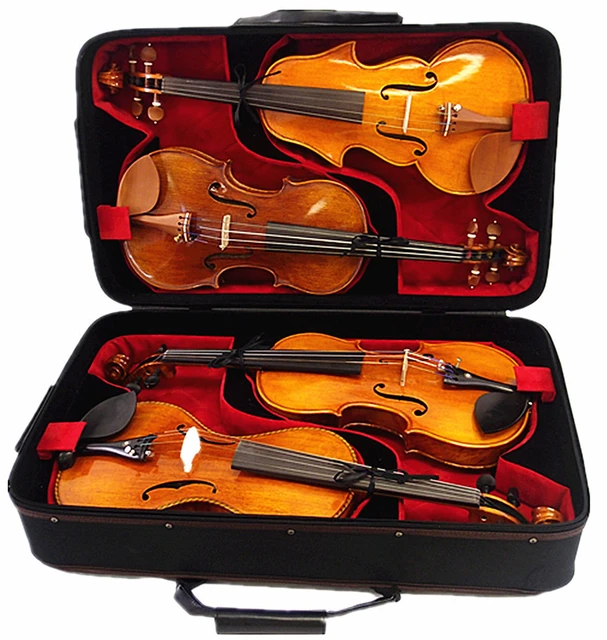 Designer Violin Cases
