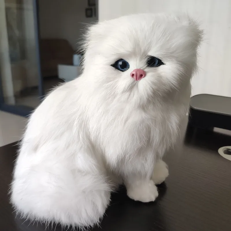 Miniature Persian Cat