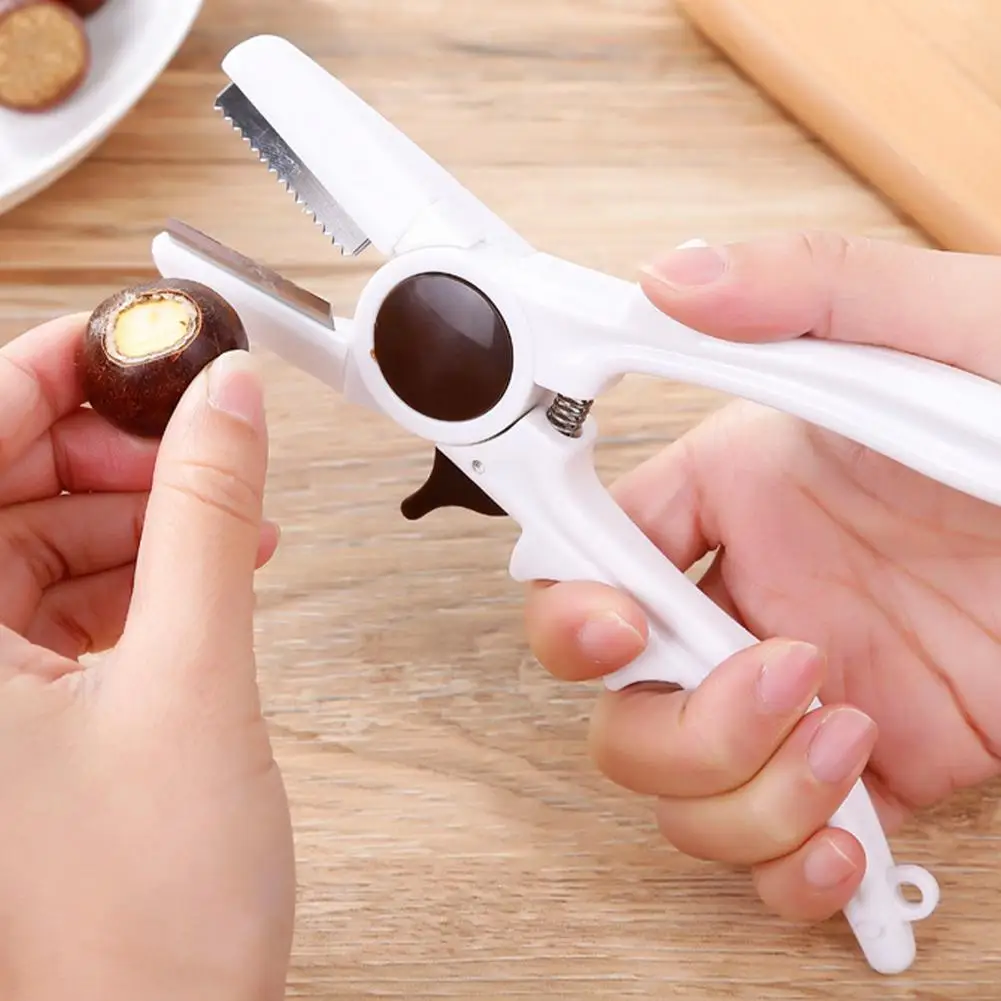 Portable Nut Sheller Multifunction Handheld Nut Cracker Hazelnut Tool ...