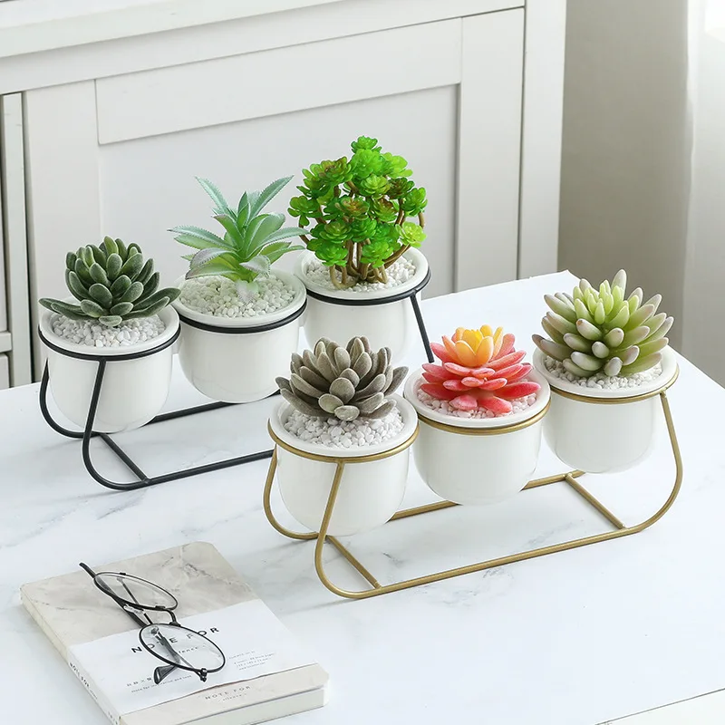 Modern Mini Ceramic Flower Pots