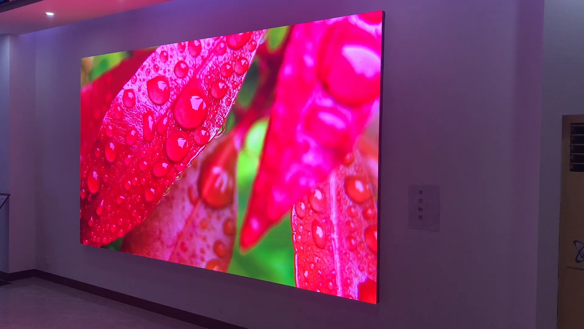 Full Color Hd Video Wall Led Displays P1.25 Cob Indoor Rgb 2k 4k 8k Tv ...