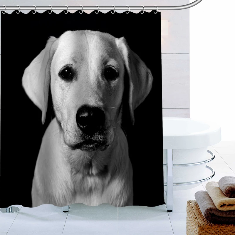 Chocolate Lab Shower Curtain