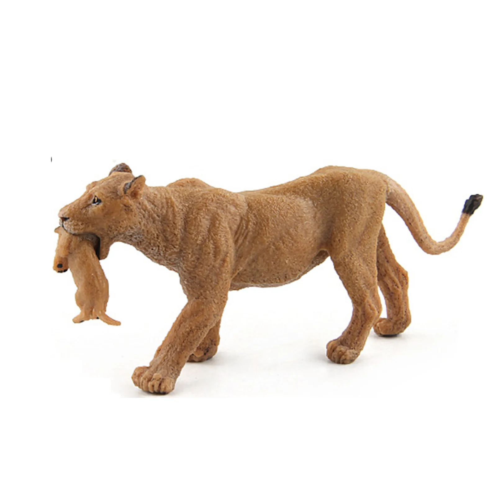Lions In Action